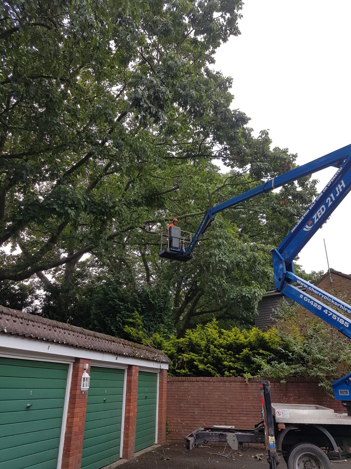 Tree safety work made easier with a MEWP – Hart Forestry Ltd