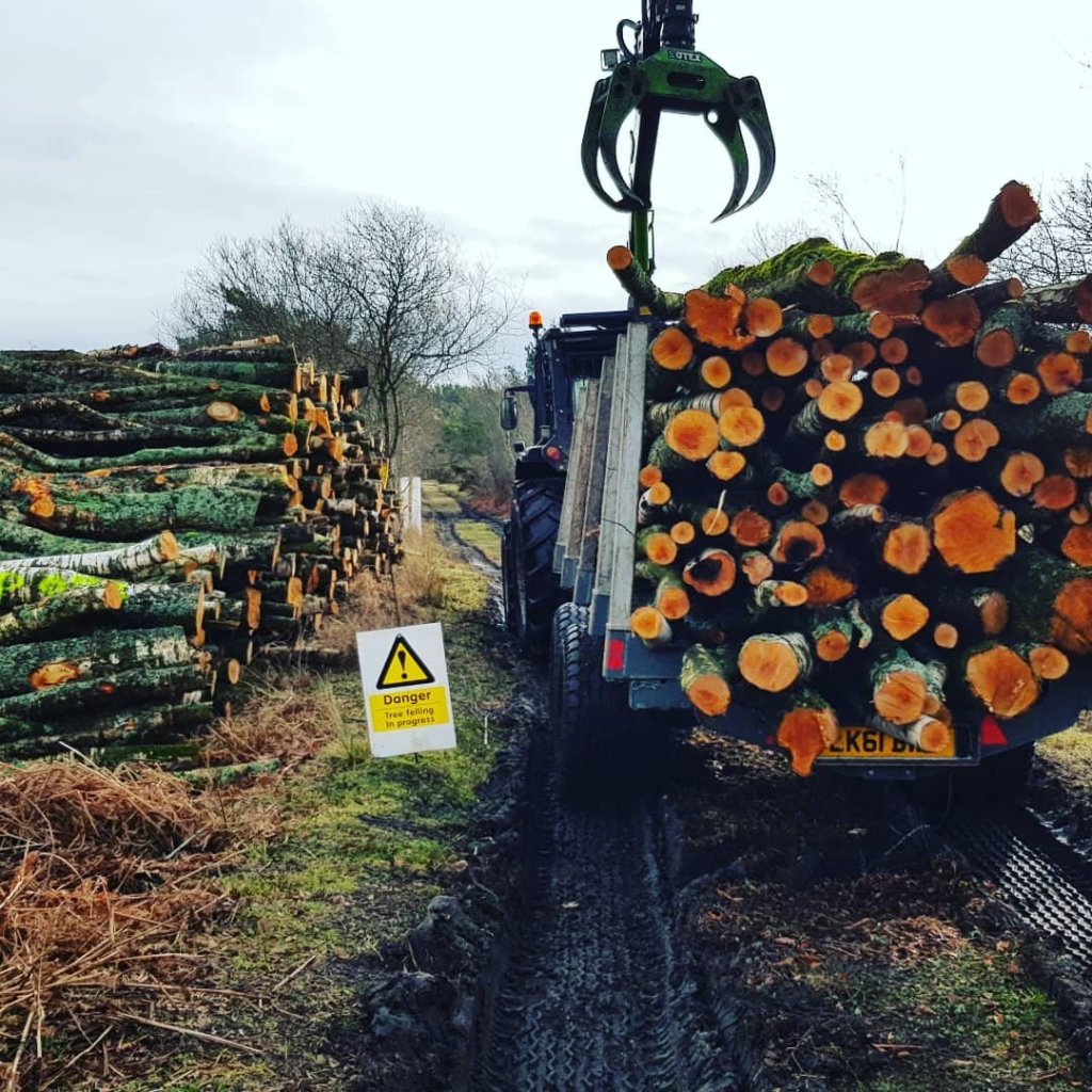 Timber for sale – Hart Forestry Ltd